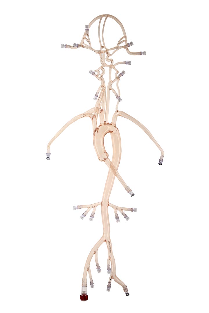 Neuro – United Biologics