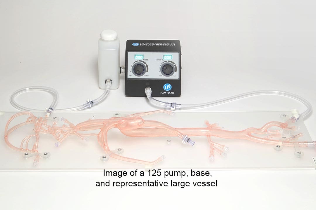 Pulmonary Model – Patient Composite – United Biologics