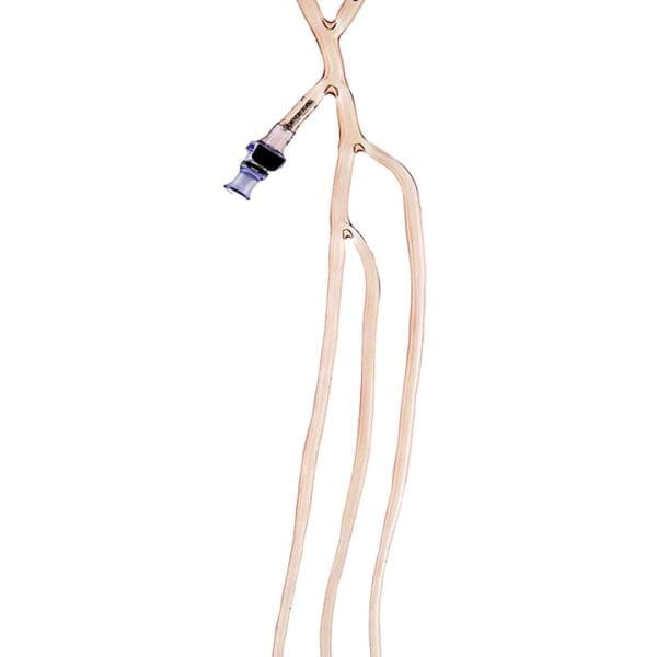 Lower Arterial Leg Model – United Biologics