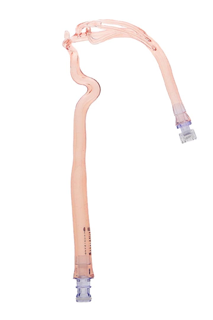 Middle Cerebral Artery Models normal – United Biologics