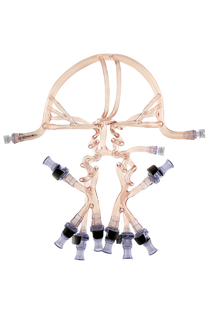 Circle of Willis Models – United Biologics