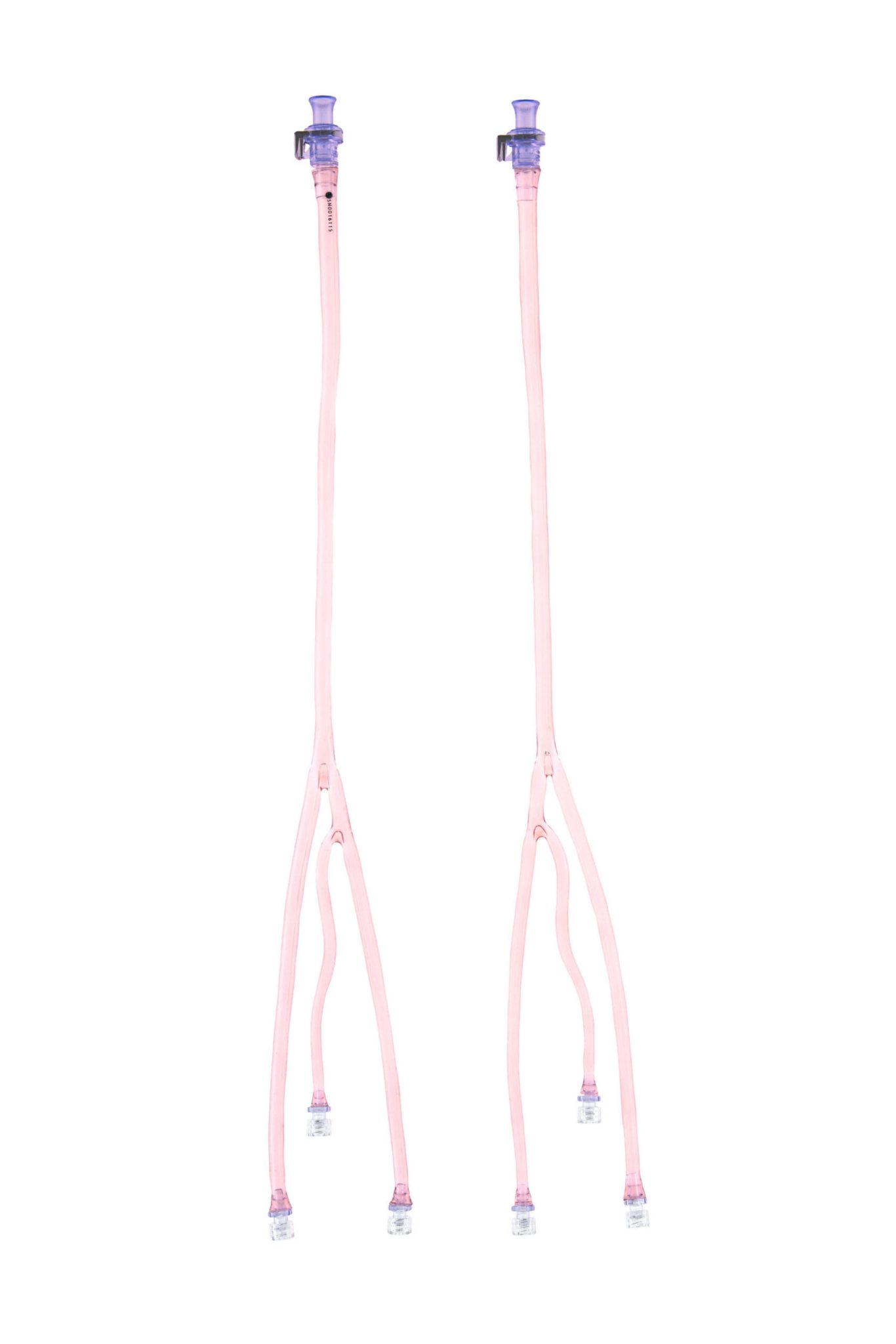 Arterial Arm Models – United Biologics